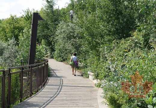 Best Saskatchewan Skating Adventures